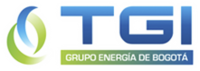 Transportadora de Gas Internacional